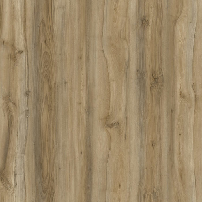 Panneau de mélamine (LTF) - Rumeur K67 – Distribution 2020